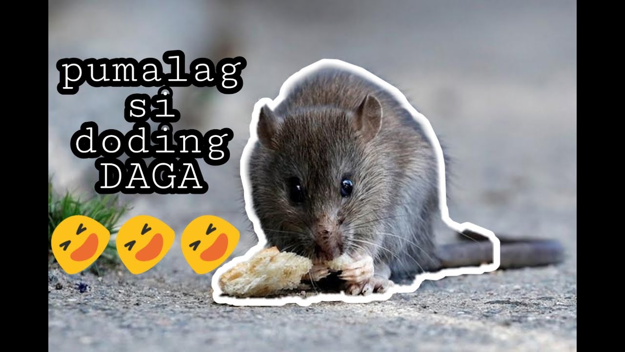 PUMALAG SI DODING DAGA | GOODVIBES SA Ytube TV - YouTube