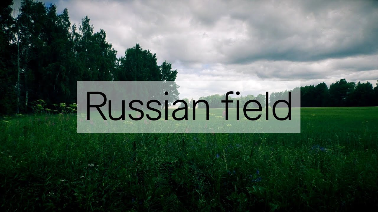 Russian field / Русское поле - YouTube