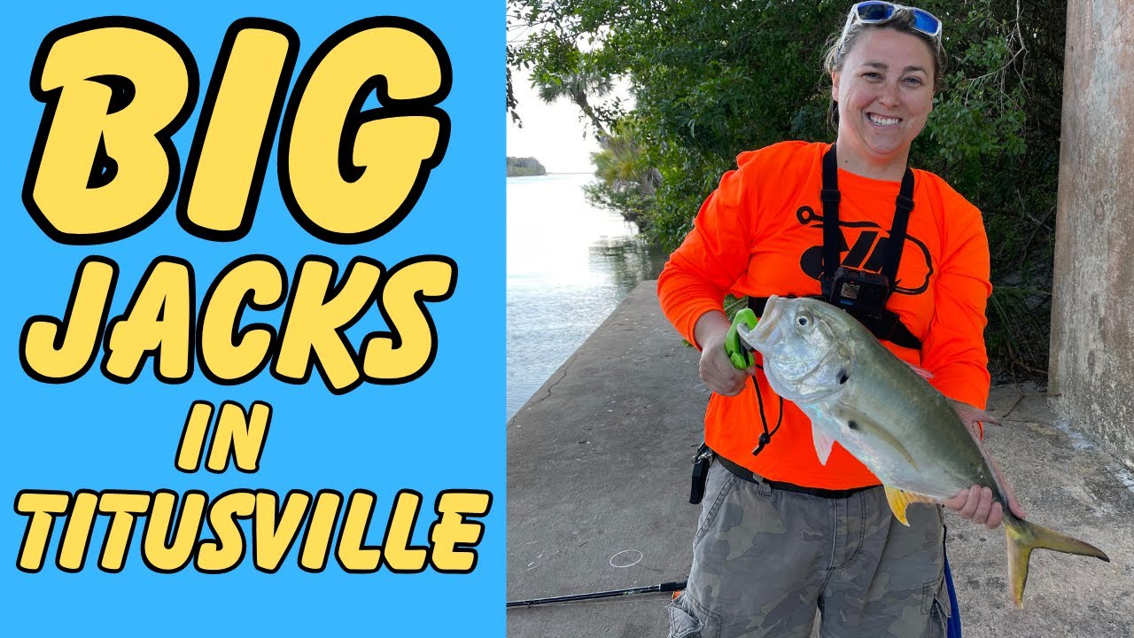 Epic Jack Crevalle Fishing Adventure: Titusville, Florida’s Best ...