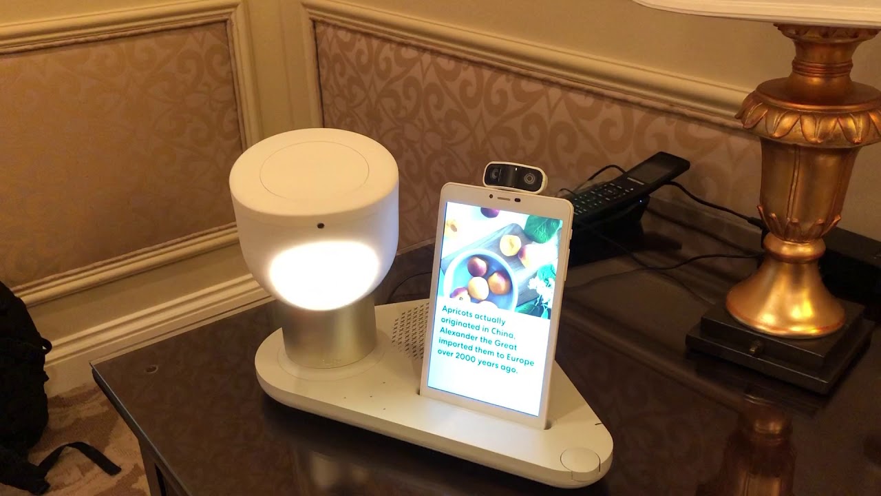 GearBrain meets Intuition Robotics' ElliQ - YouTube