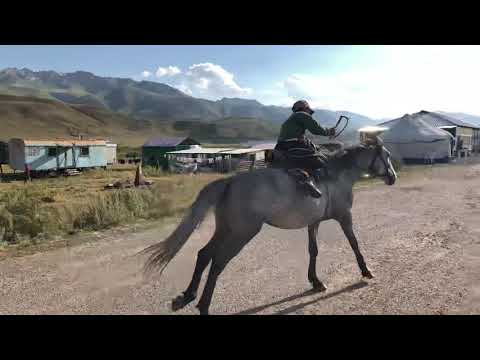 Kırgız ata binen çocuk