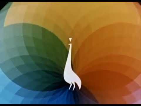 NBC TV Living Color Peacock Best Quality! - YouTube