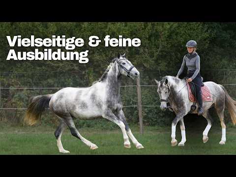 Wundervolle Entwicklung in 5 Monaten🥹 | Team Lara - MUSTANG MAKEOVER 2026