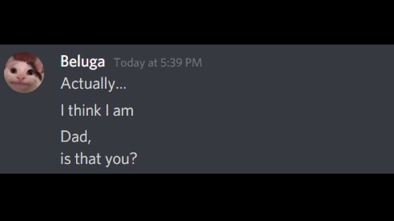 Beluga And Dad Reunite... - YouTube