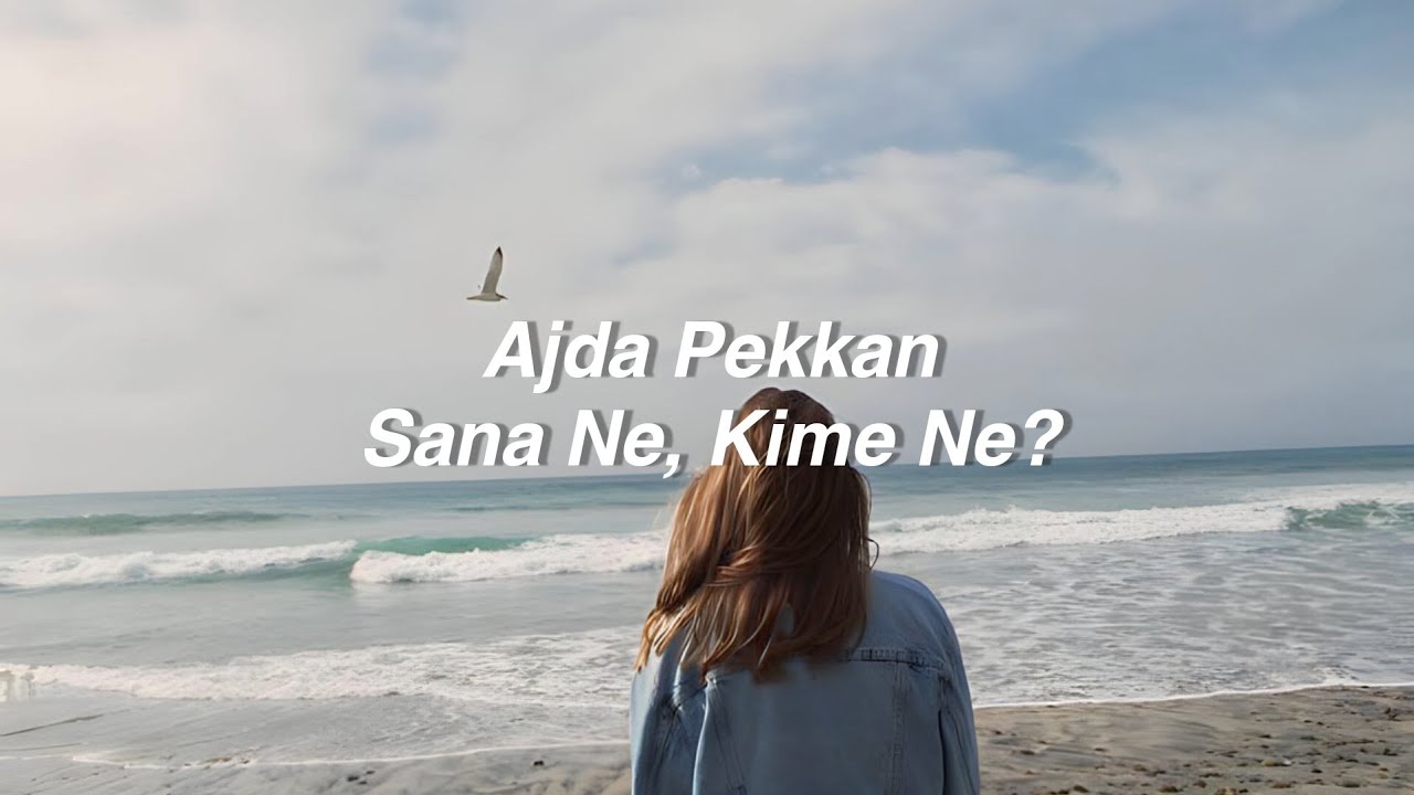 Ajda Pekkan - Sana Ne, Kime Ne? (Lyrics) "hür doğdum hür yaşarım" - YouTube