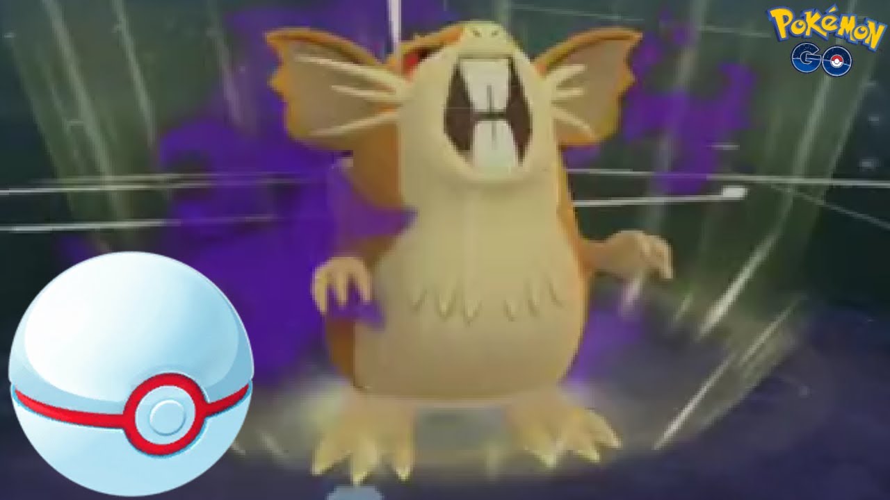Shadow Raticate Bites The Kanto Cup Meta Pokemon Go Battle League