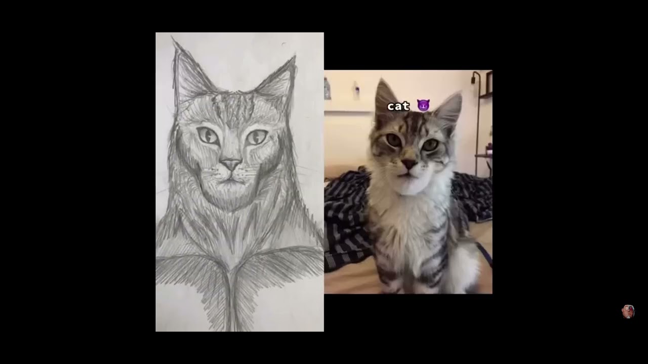 Chad dog Face vs chad cat - YouTube