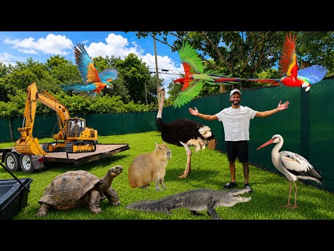 My BACKYARD ZOO Is Finally COMPLETED! (15 years in the making) 