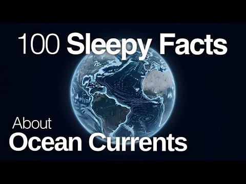 The Massive Rivers Inside Our Oceans That Nobody Talks About