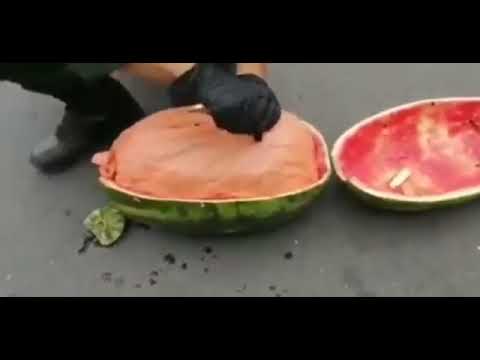 Qarpız əkdi, içindən nəşə çıxdı. Ağıla gəlməz qaçaqmalçılıq.