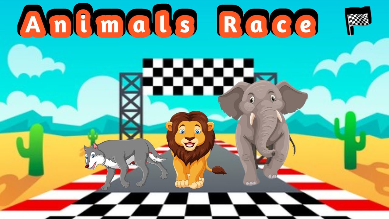 Elephant, wolf and Lion Race || animals game || cartoon game|| cartoon ...