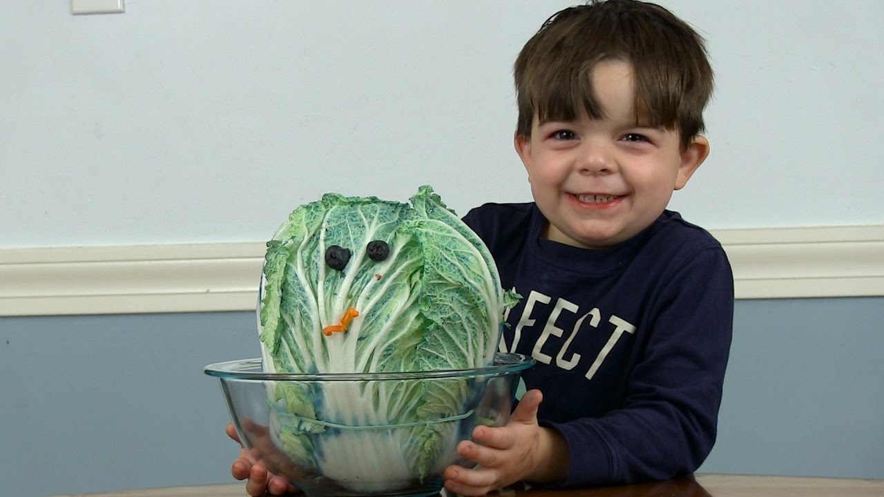 Kids' Science Experiment - Observe Capillary Action with Vampire ...