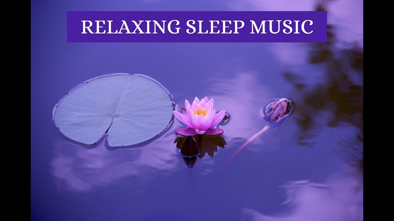 CALMING FLUTE LOTUS SLEEP MUSIC (4.5 HOURS) - YouTube