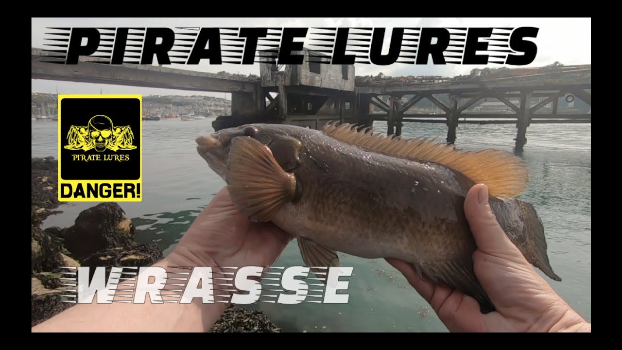 Lure Fishing for Wrasse using Ned Lures and Senko Lures from Pirate ...