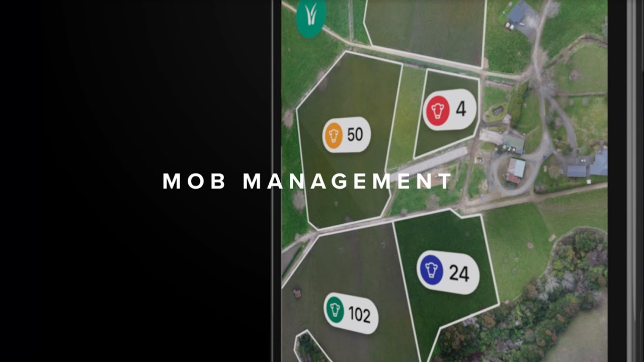Seamless mob management - YouTube