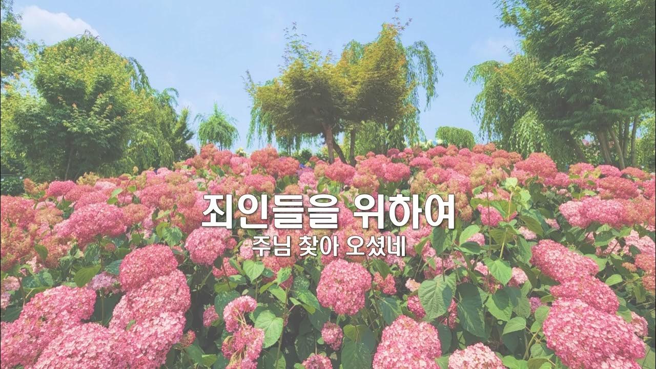 죄인들을 위하여 주님 찿아 오셨네 Youtube