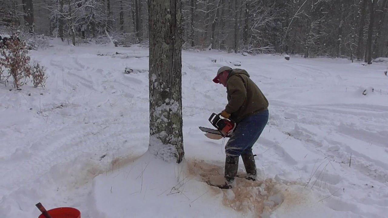 Logging with Ken - YouTube