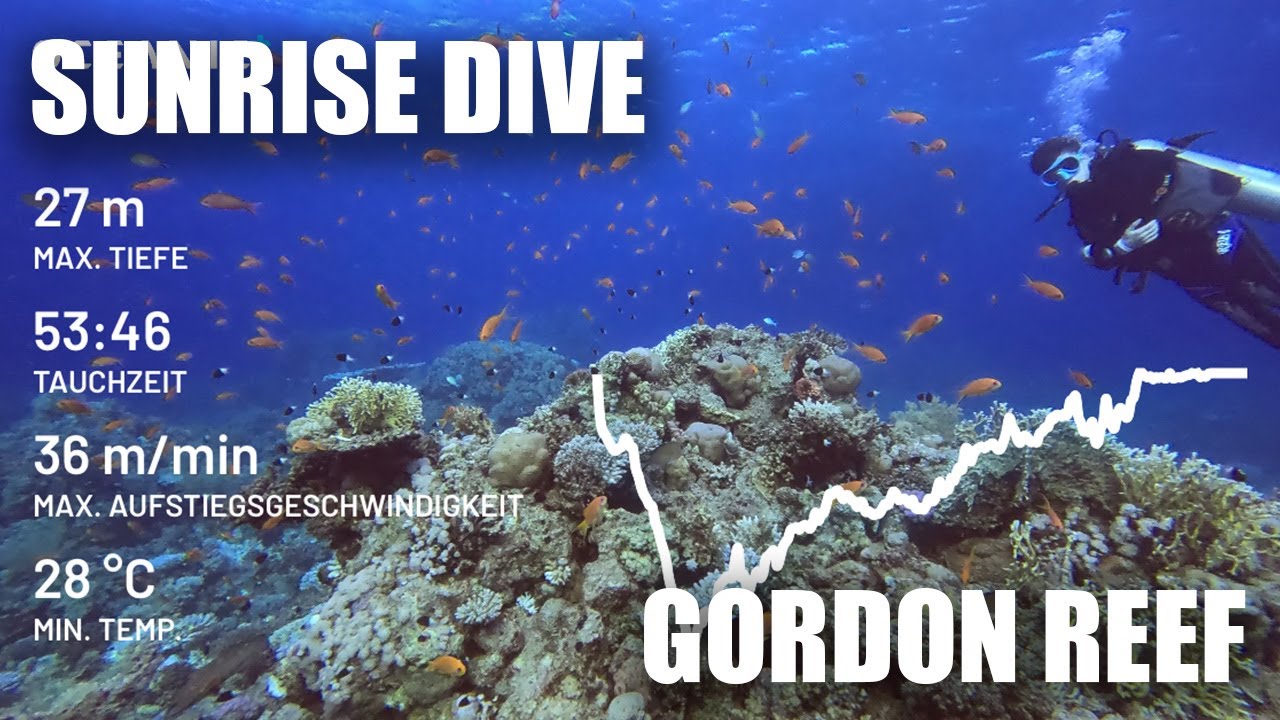 Sunrise Dive at Gordon Reef, Egypt - YouTube