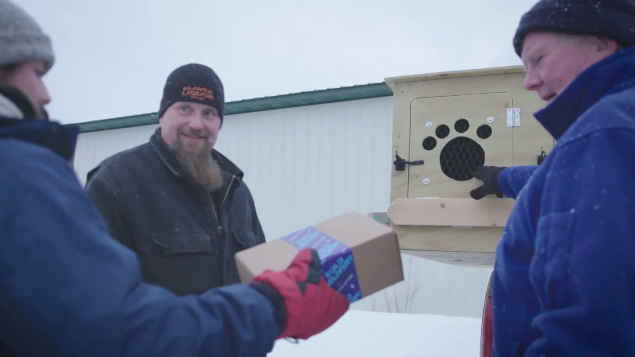 Minnesota Lottery Bold North Delivery - Embarrass, Minnesota - YouTube