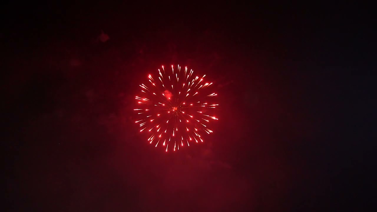 Display shell: 4 inch red to blue peony - YouTube