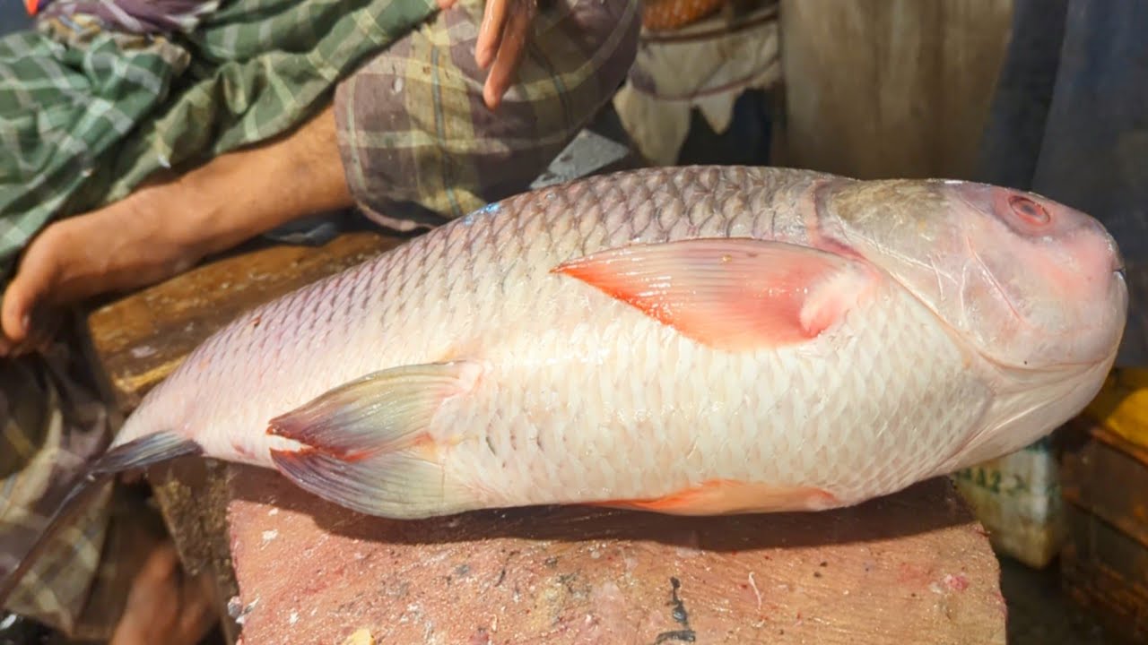 Amazing Giant Rohu Fish Cutting Skills In Fish Market By Expert Fish ...
