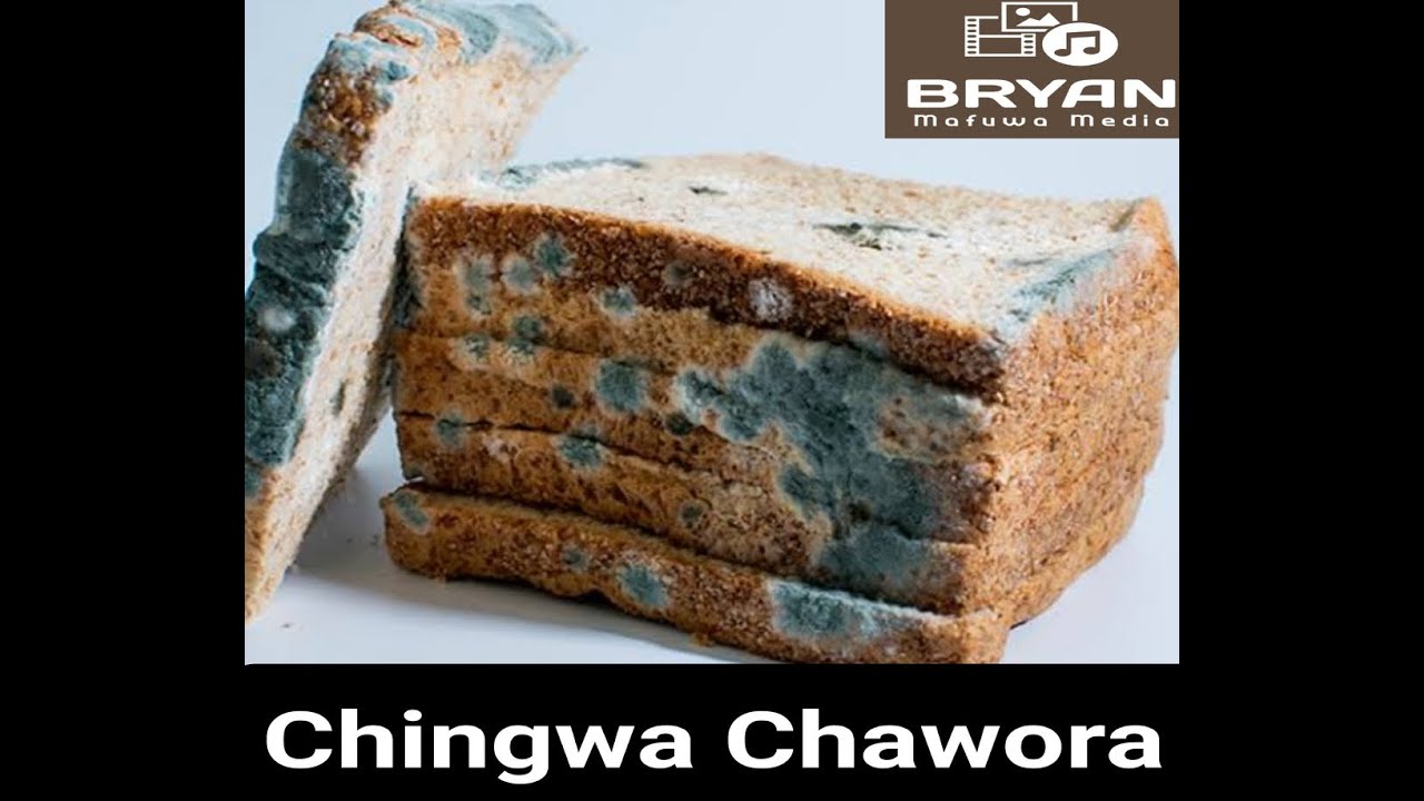 Evangelist Trymore Muparinga - Pane panongoda Chingwa chakawora ...