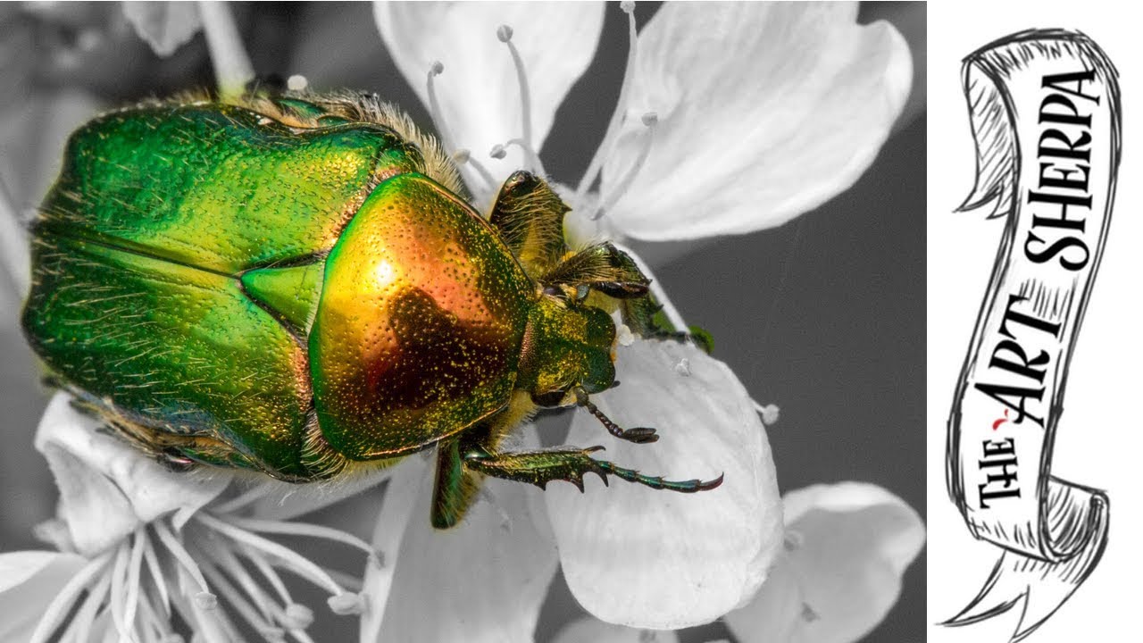 How to paint Metallic effects Beetle painting tutorial for beginners ...