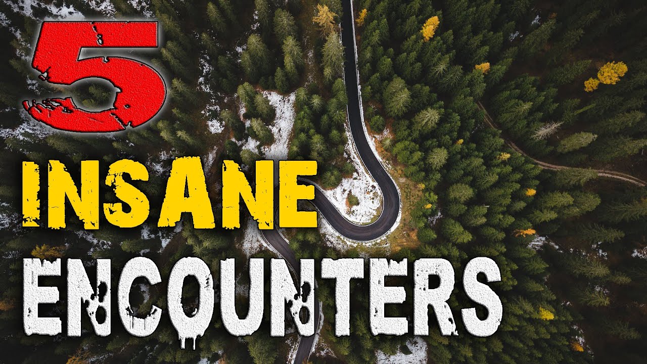 5 Totally Insane and Crazy Encounters That Are Just Scary AF - YouTube