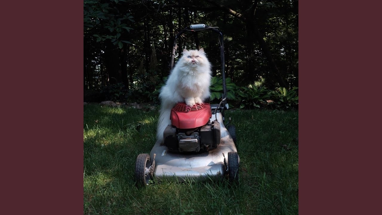 Wait, Don't Go! - YouTube