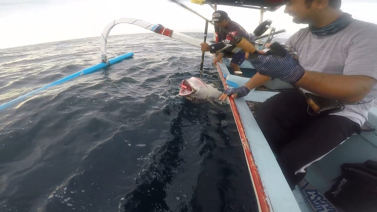 PUTUS SATU DAN LANDED 26kg IKAN TUNA GIGI ANJING || HEAVY JIGGING ...