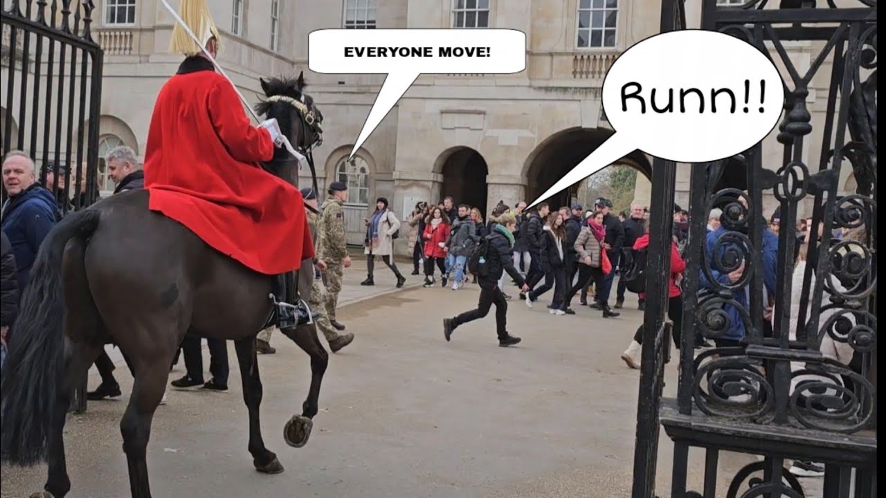 "SHOCKING"!😳SPOOKED HORSE Out of Control And No One Can Stop! - YouTube