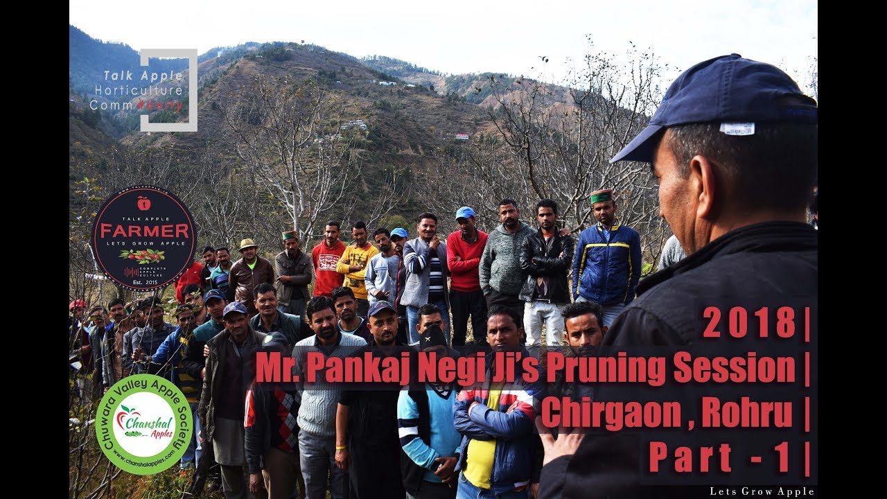 2018 | Mr. Pankaj Negi Ji’s Pruning Session | Chirgaon | Rohru | Part 1 ...