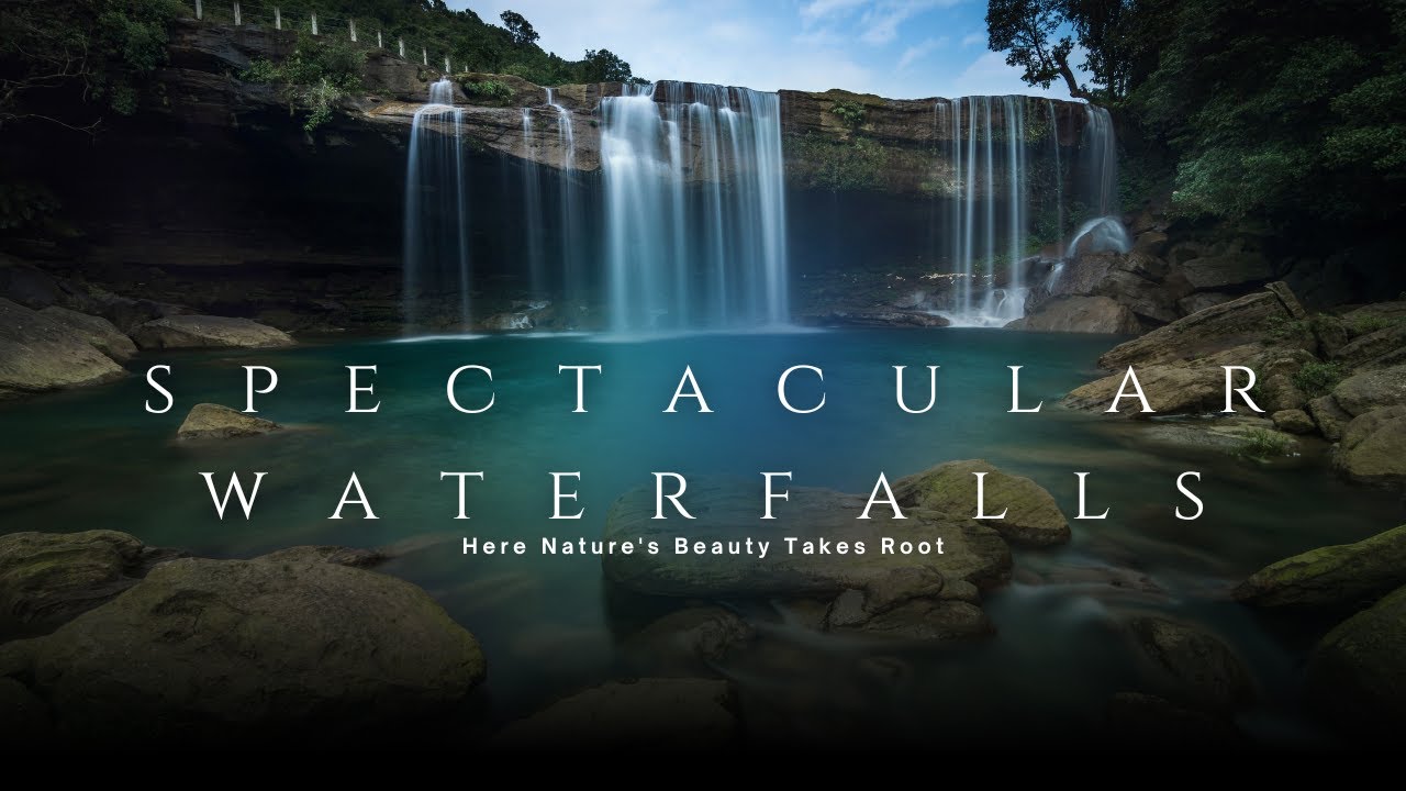 Road Trip To Jasper National Park | Wilderness into Nature - YouTube