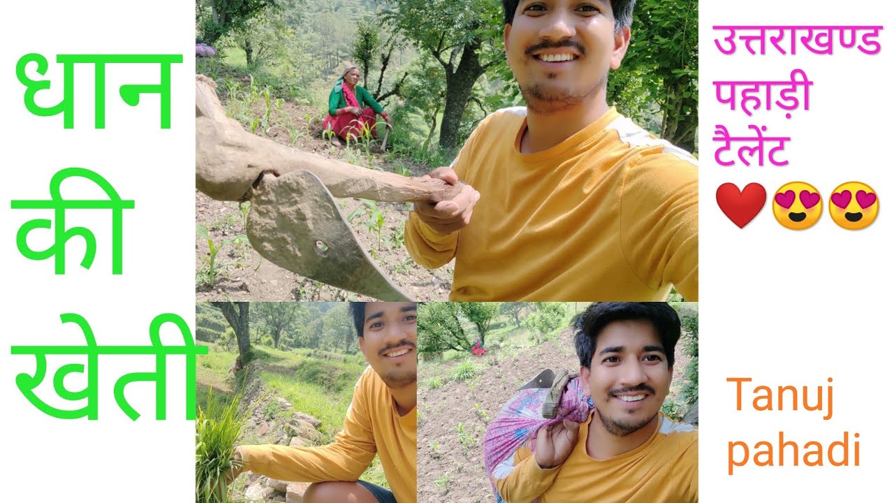 गांव में धान की गुडाई !! उत्तराखण्ड पहाड़ी टैलेंट😎😍 (Tanuj Chilwal) Vlog#16 - YouTube