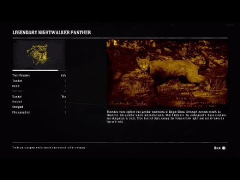 Legendary Nightwalker Panther location RDR2 online - YouTube