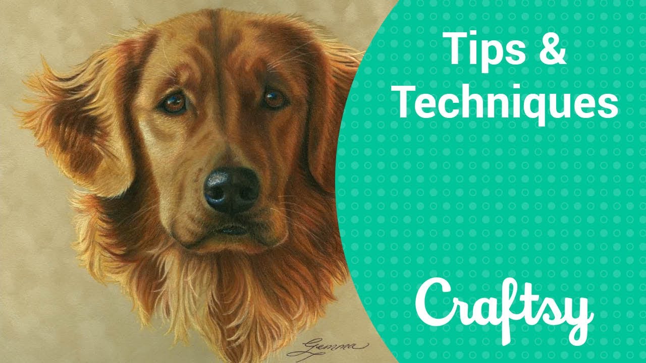 Pet Portraits: Why Draw On Suede Matboard? - YouTube