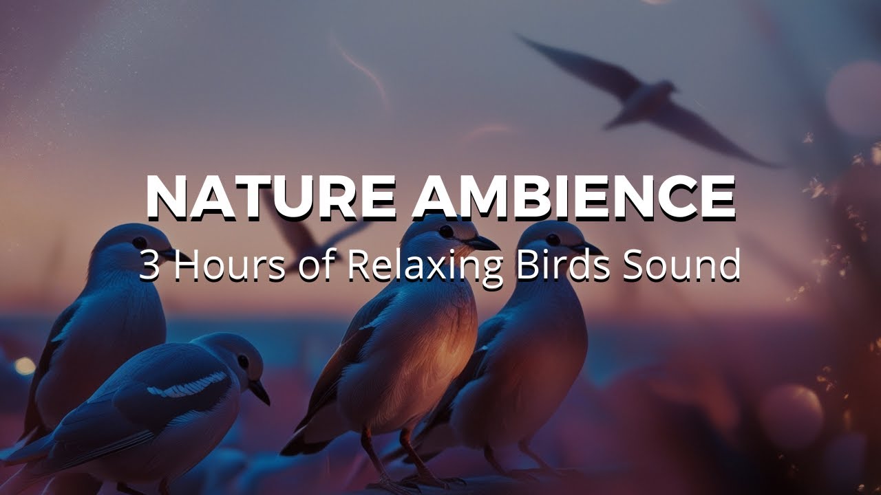 3 Hours of Natural Bird Sounds for Deep Sleep | Relaxation and Restful ...
