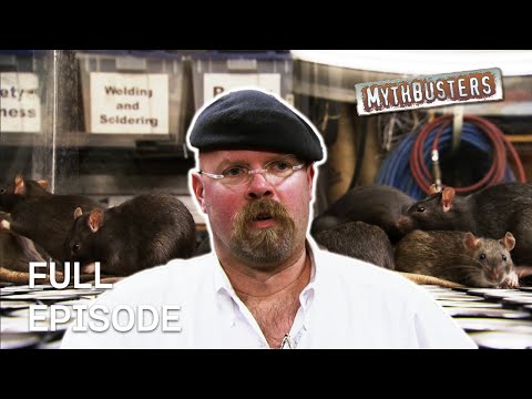 Debunking Disease Transmission Of Rats! | MythBusters | Season 6 Episode 5 | Full Episode