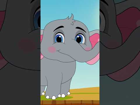 🎶Hayvan Sesleri ''FİL''🐘🎶