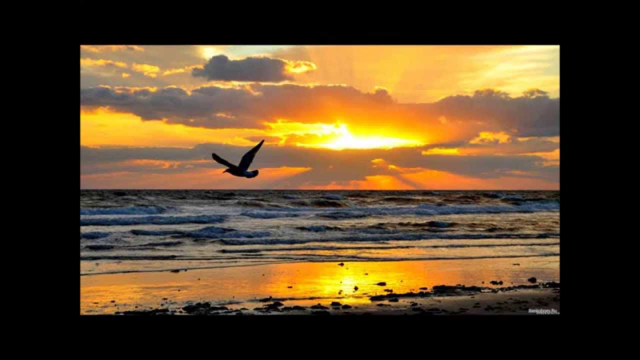 D. Hellbach. Flying Bird (RockBallads Vol.1) - YouTube