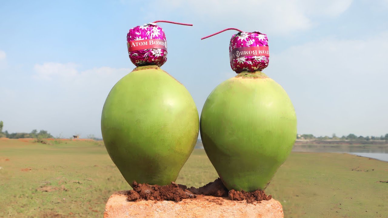 coconut | नारियल #coconut #experiment - YouTube