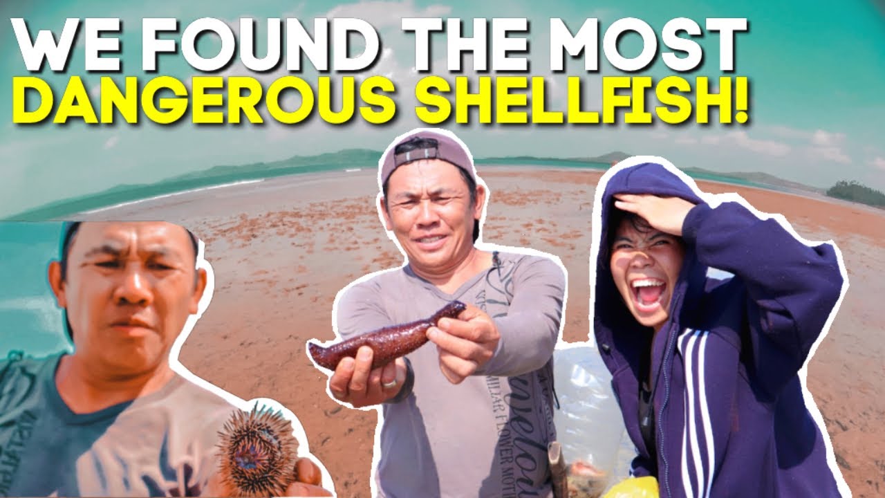 Buhay Probinsya: Namakulod! Finding shells | Northern Samar ...