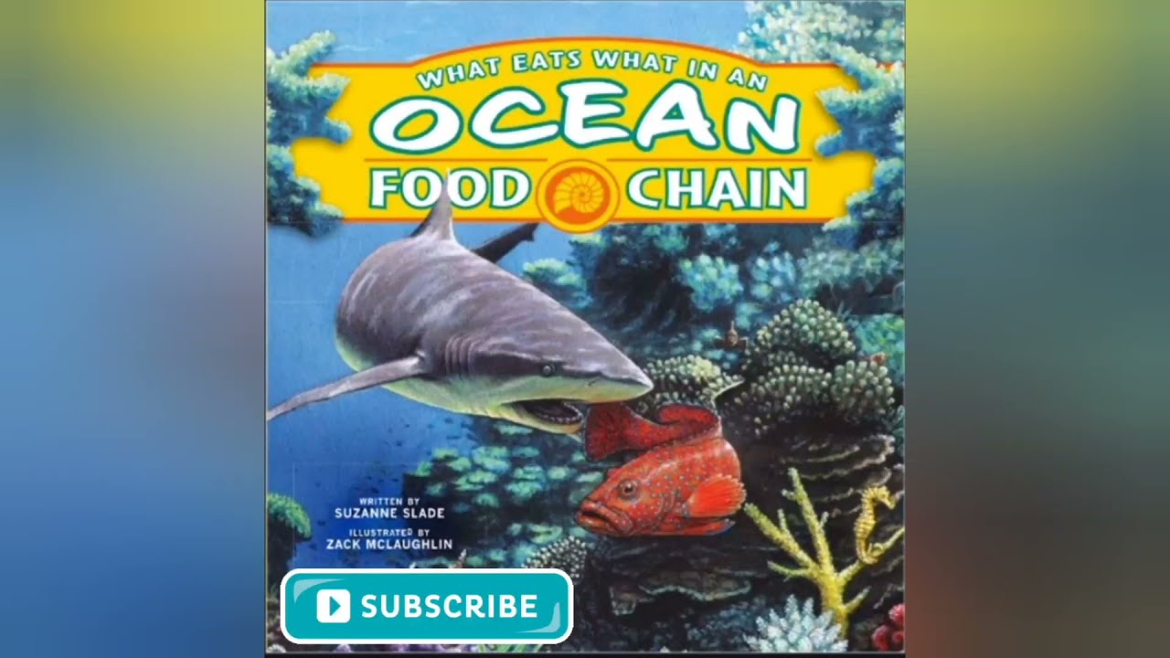 Ocean Food Chain - YouTube