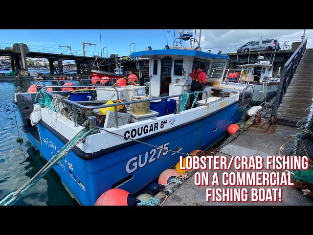 Commercial Lobster Fishing Boats