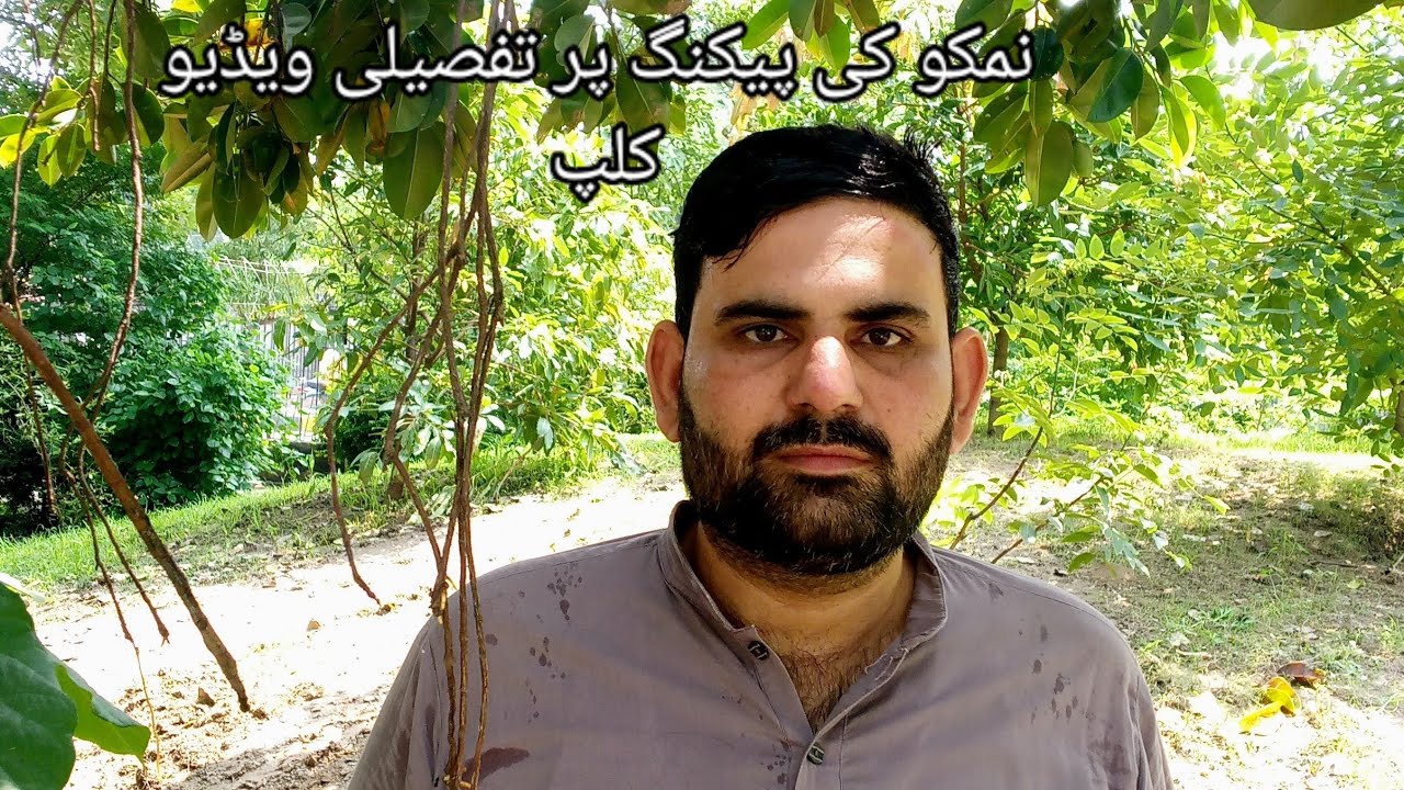 محمد عامر کی پہلی ویڈیو نمکو کے حوالے سے Muhmmad Amir October 3, 2021 ...