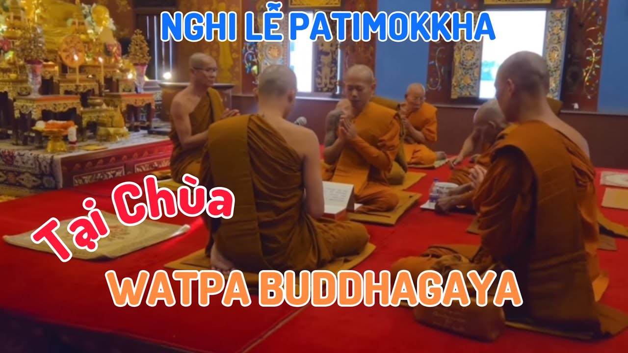 NGHI LỄ PATIMOKKHA TẠI CHÙA WAPTA BUDDHAGAYA I ẤN ĐỘ - YouTube