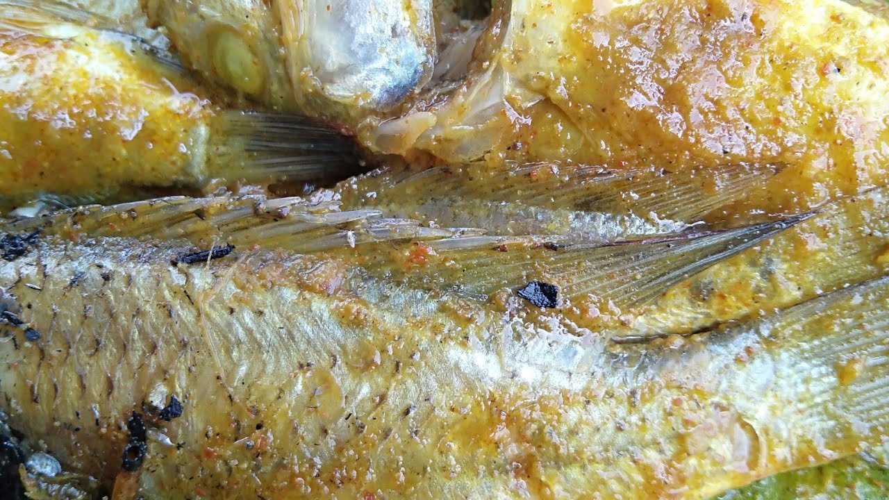 Macha puda - YouTube