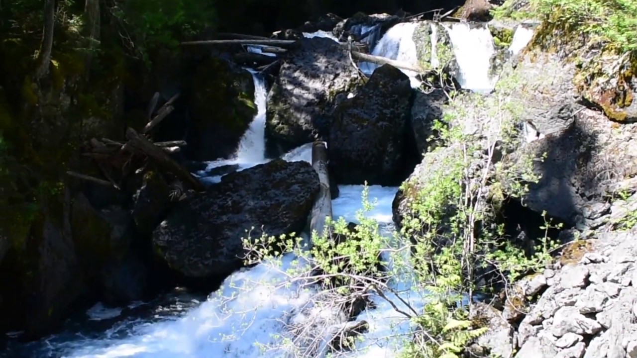 Dosewallips Falls - ONP - July 28, 2019 - YouTube