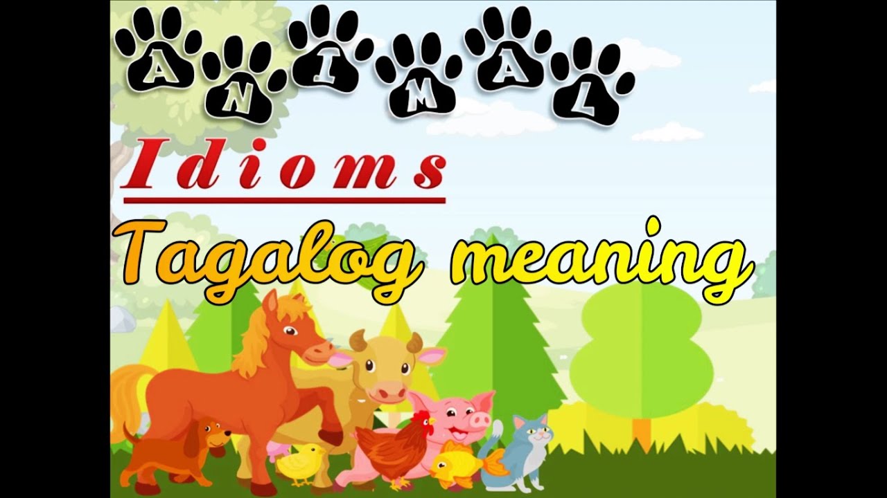 English Animal Idiom, Filipino/Tagalog meaning - YouTube