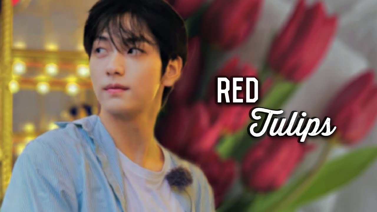 TXT Soobin ff || Red Tulips - YouTube